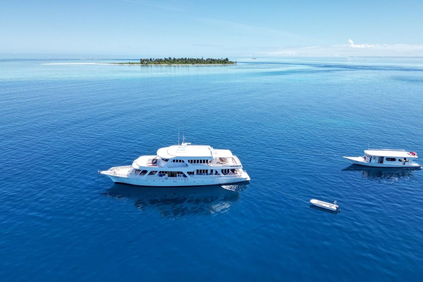 Maldives dive cruises by Cruising Indonesia - Cruising Indonesia